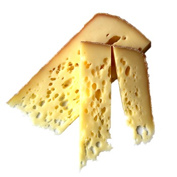 Fat cow - Connage Highland Dairy